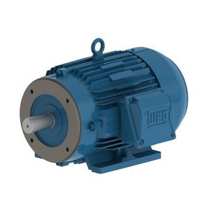 W22 IE2 7.5 HP 6P 132M 3F 380/660 V 50 Hz IC411 – TEFC – B34R(E) – RTS ...